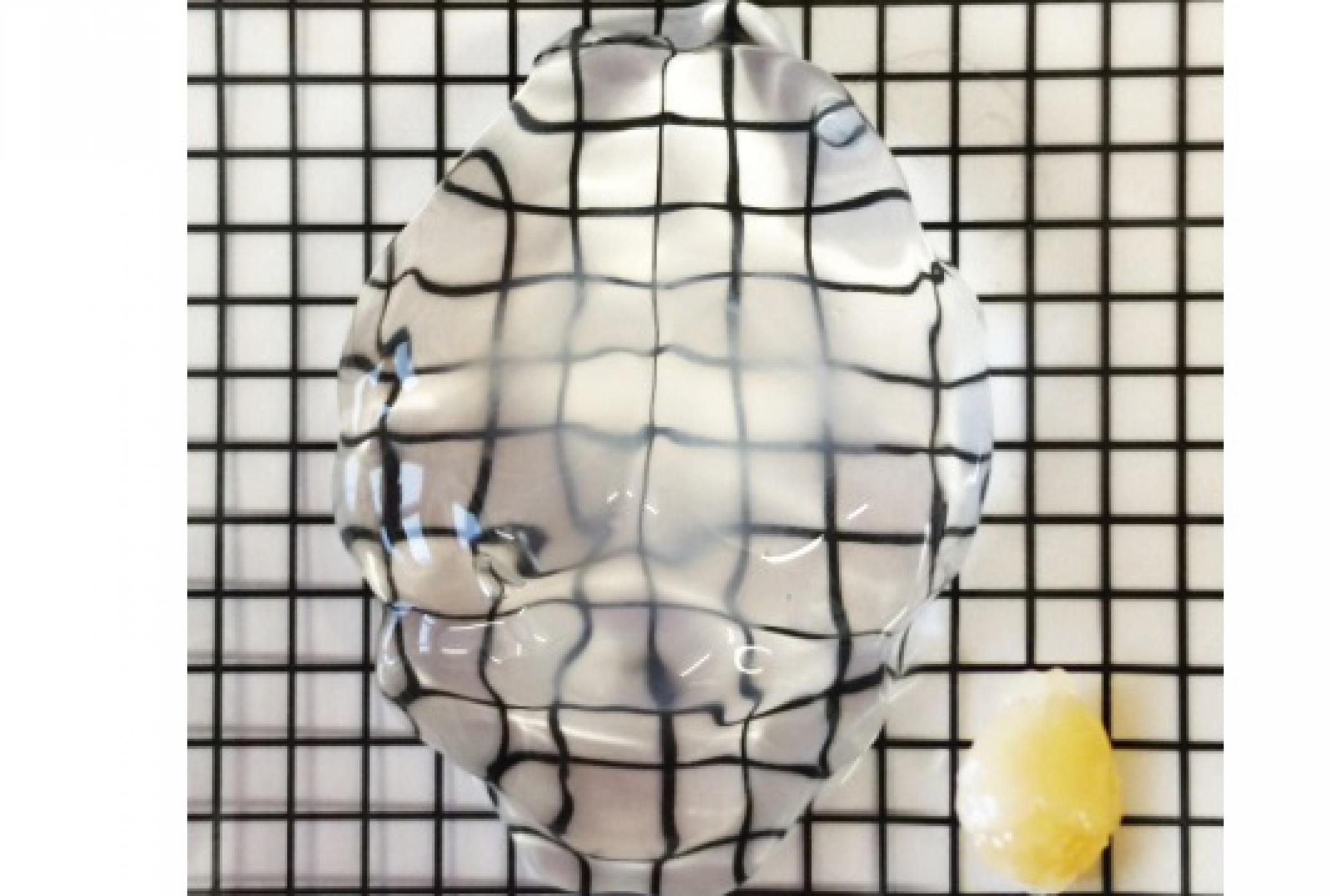 Innovations & Inventions | Picower Institute | Neuroscience & Brain ...