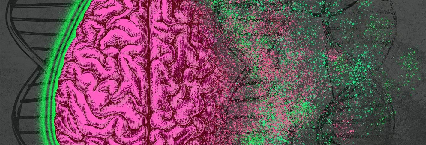 Decoding the complexity of Alzheimer’s disease | Picower Institute Decoding the complexity of Alzheimer’s disease | Picower Institute
