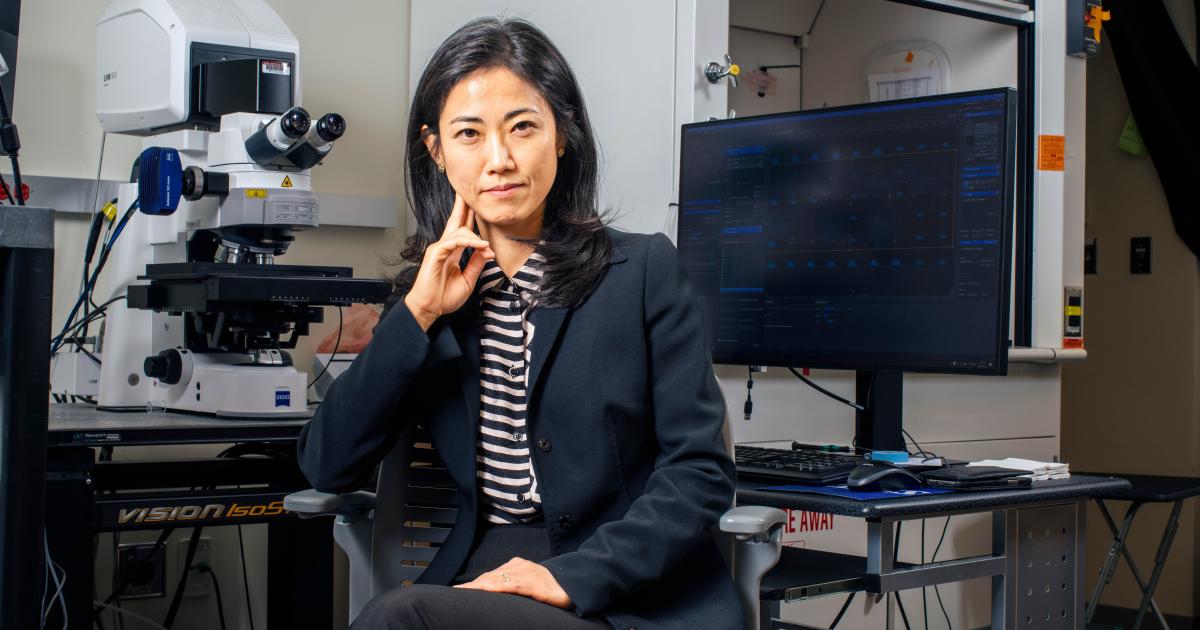 Colloquium on the Brain and Cognition with Gloria Choi, PhD, MIT ...